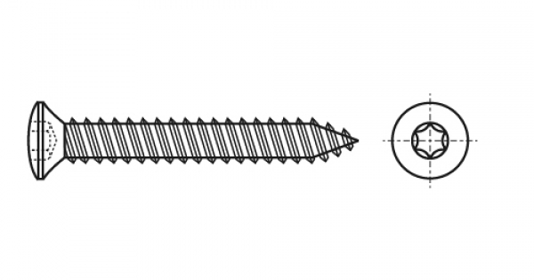 ISO 14587 Саморіз з напівпотайною головкою під torx – Купити гуртом в ...